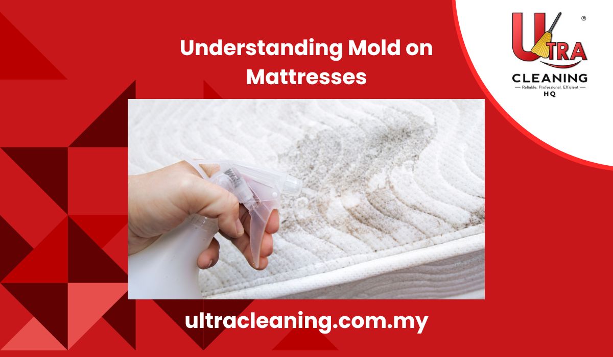 How To Remove Mold From Mattress? | Ultra Cleaning